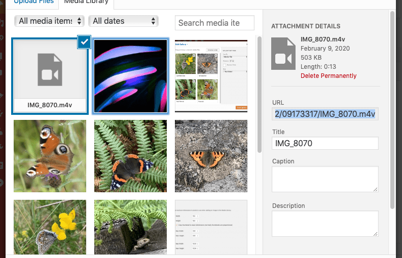 Video – Glow Blogs – An Introduction