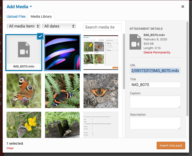 Video – Glow Blogs – An Introduction