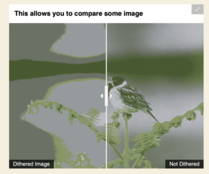 Examples – H5p examples