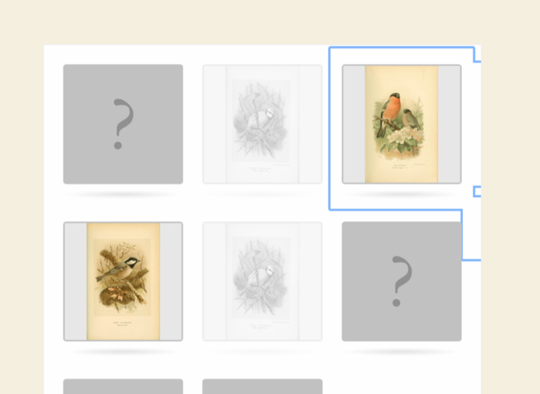 Examples – H5p examples