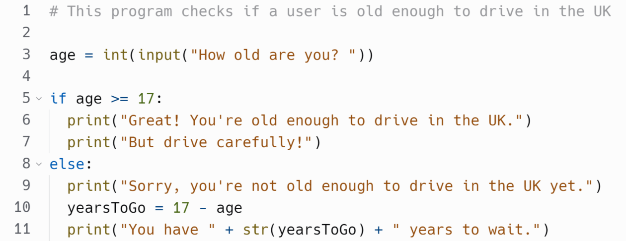 Program 4: Driving Age Checker – Inside M11