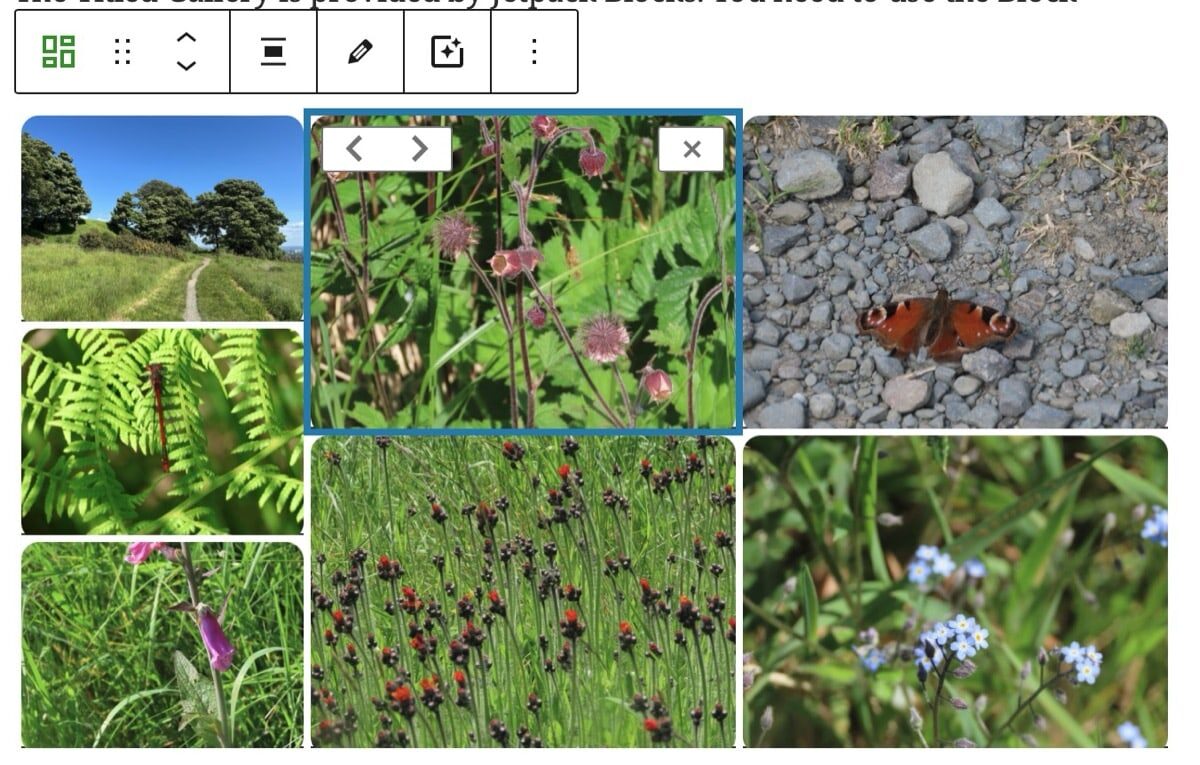 Tiled Gallery Block – Jetpack