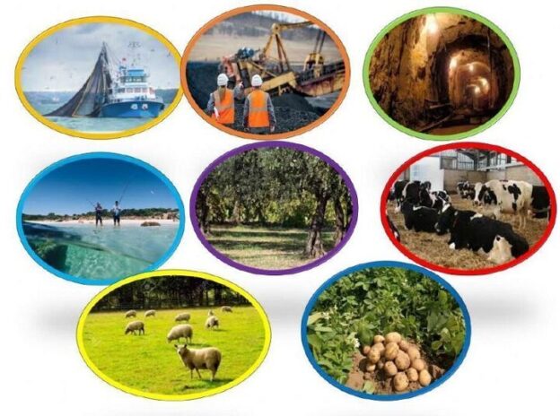 Sectors of Industry | N5 Business Management