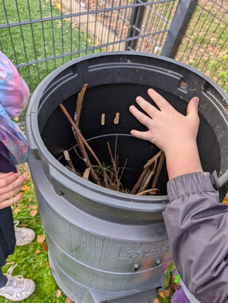 PXL_20251104_141509195.NIGHT