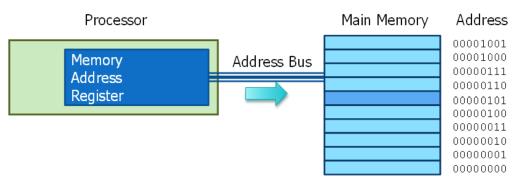 Buses | N5 Computing Science