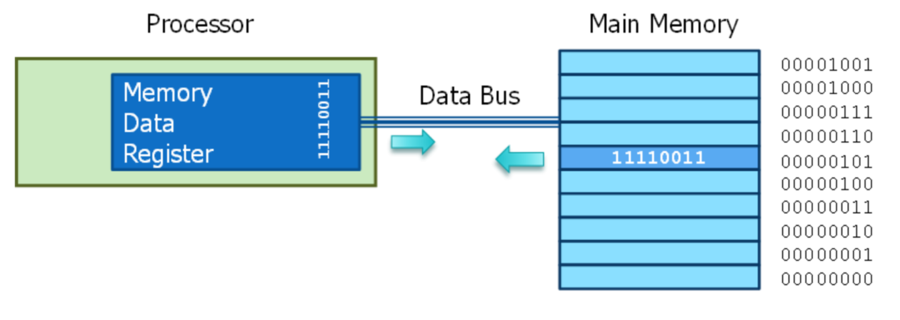 Buses | N5 Computing Science