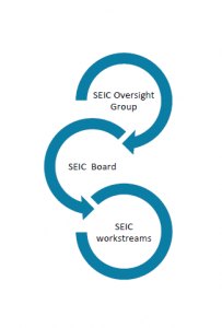 SEIC governance | South East Improvement Collaborative