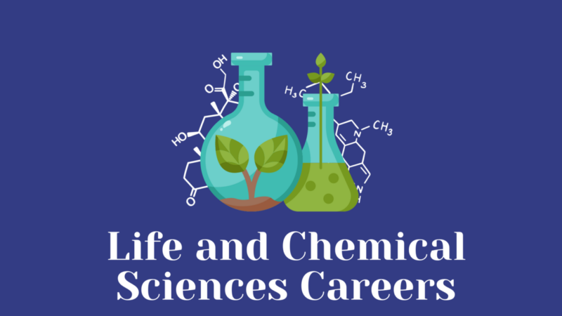 STEM Careers – STEM Nation
