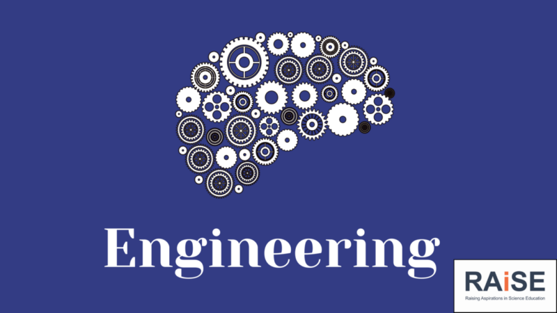 RAiSE – STEM Nation