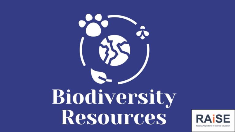 RAiSE – STEM Nation