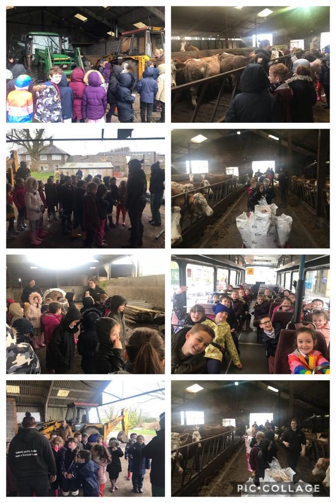 Primary 3b | Ardgowan Primary School