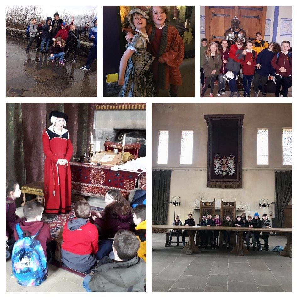 Primary 5 | Ardgowan Primary School