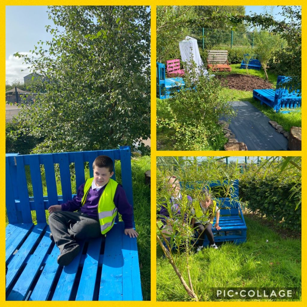 Outdoor Learning | Craigmarloch School