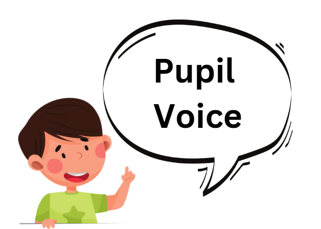 Pupil Voice | St Francis Primary School and Nursery Class