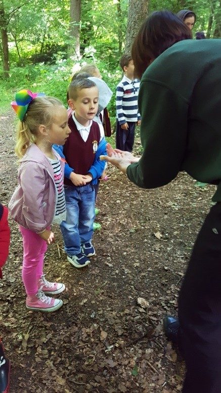 Learning and Teaching | St Michael's Primary