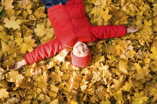 Outdoor Learning – Autumn Resources and Ideas | @Midlothian_STEM