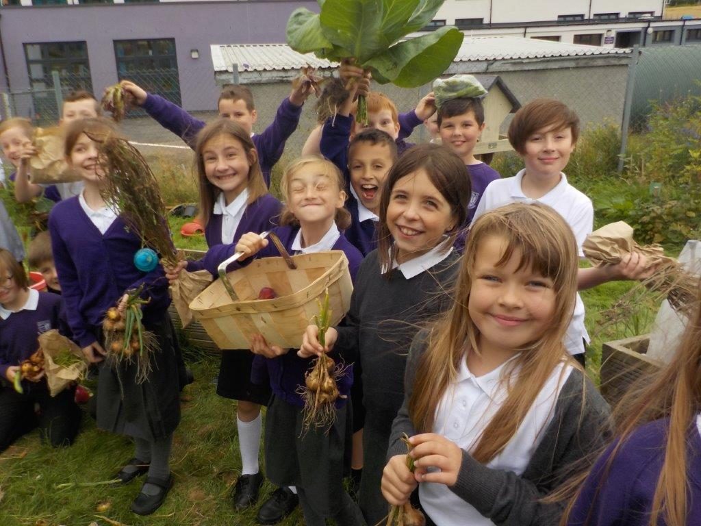 School Clubs – Seafield Primary School Website