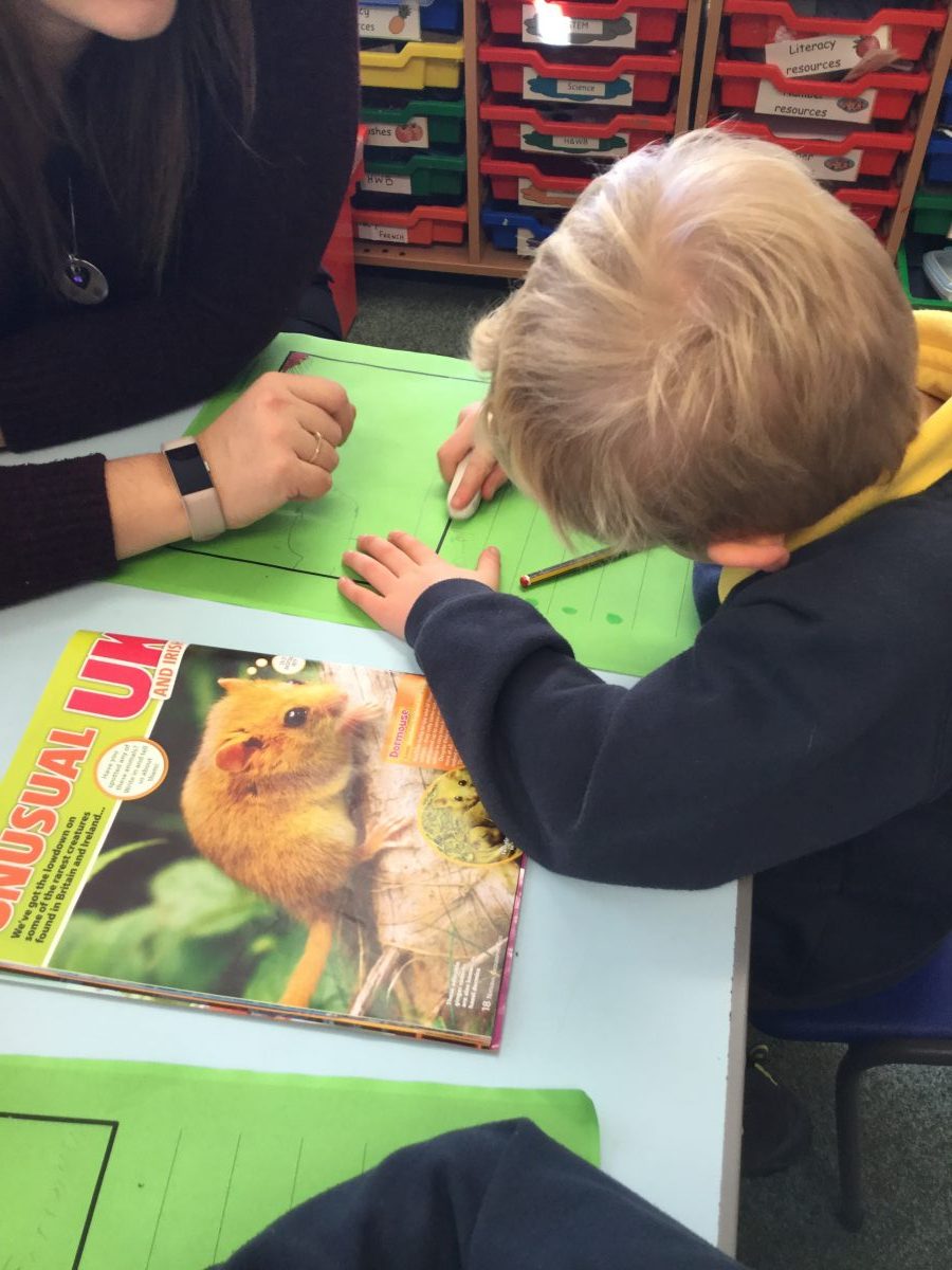 Writing for enjoyment