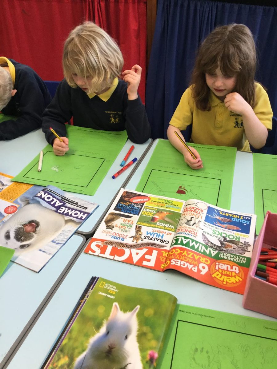 Writing for enjoyment