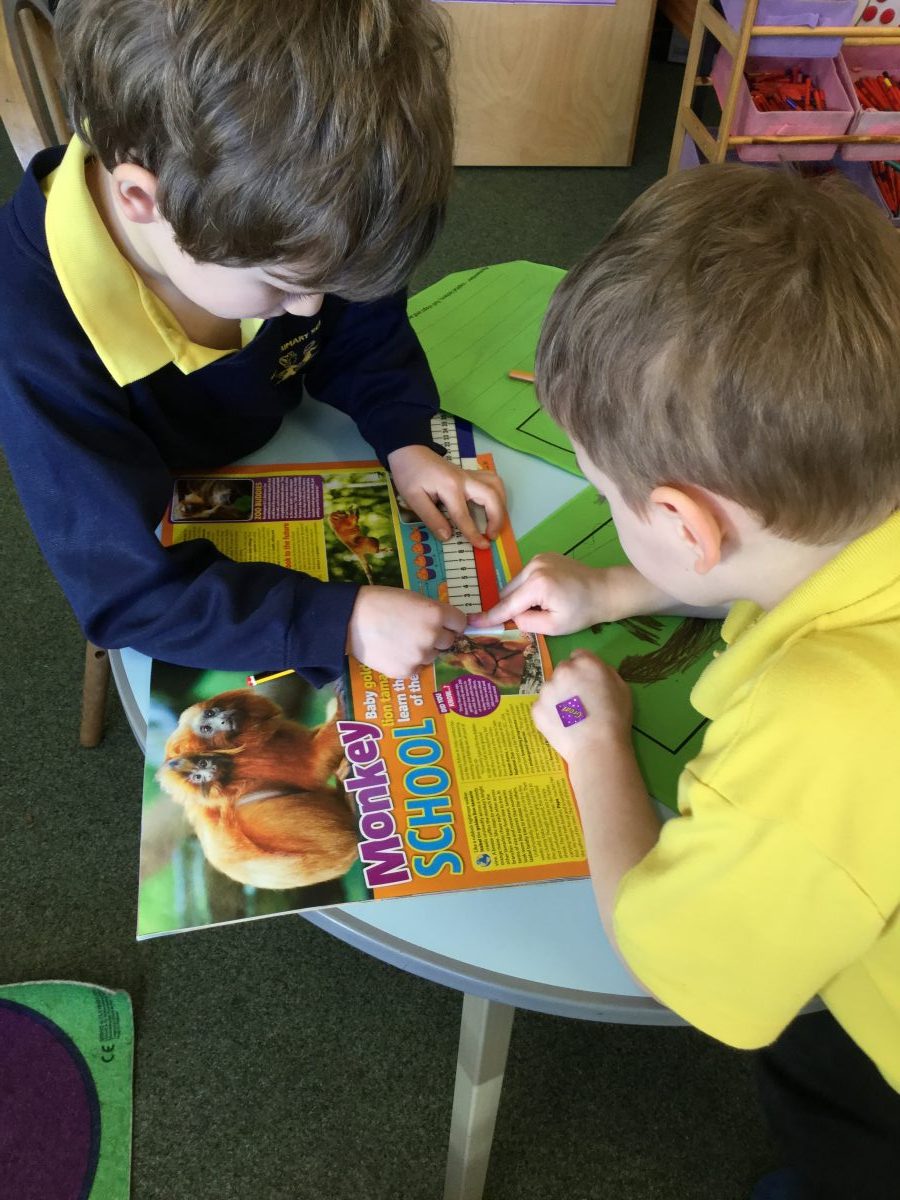 Writing for enjoyment