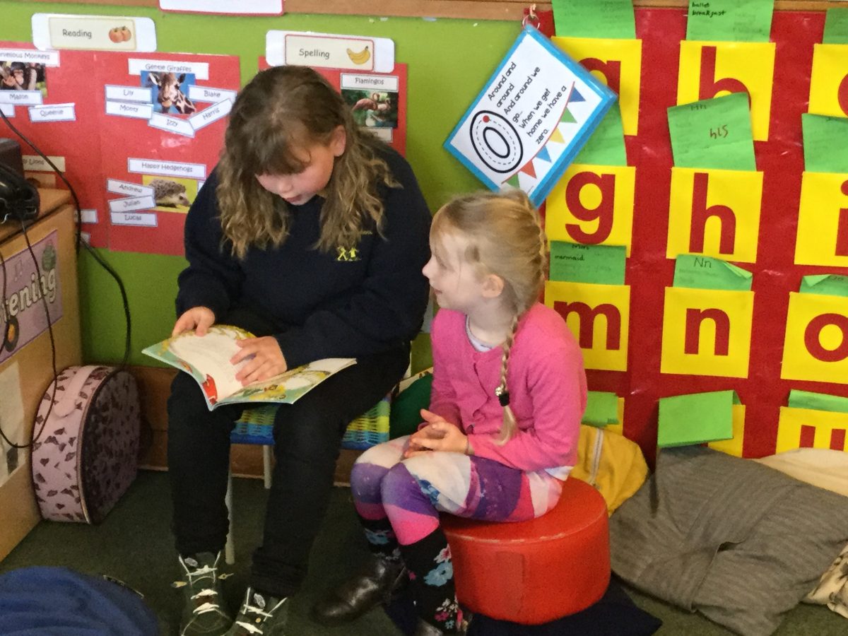 P1/2 Transition