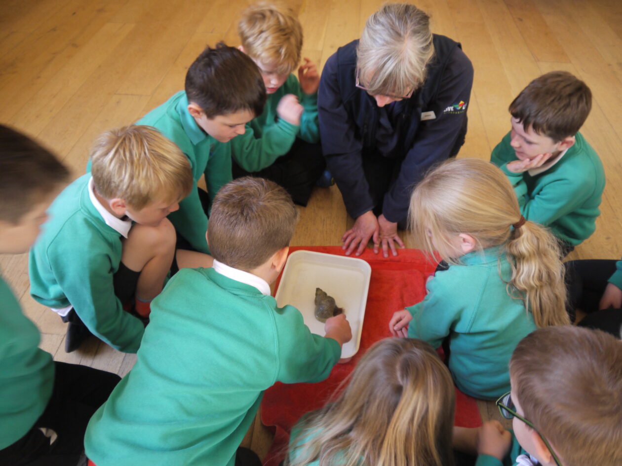 Macduff Marine Aquarium | Botriphnie Primary School