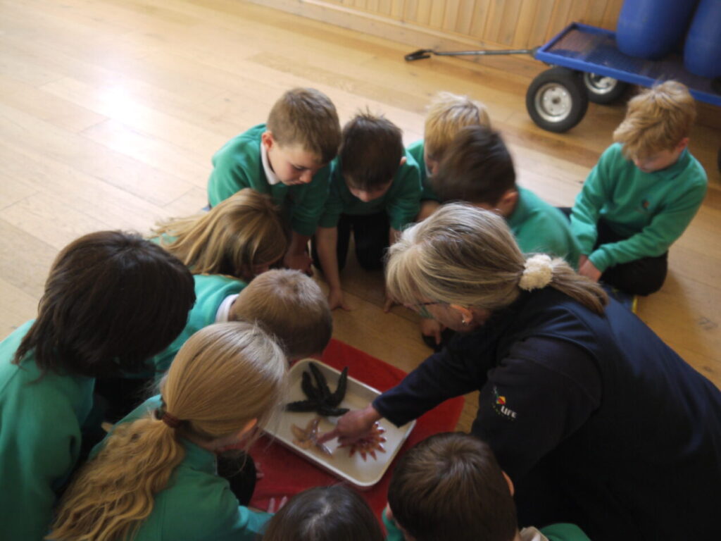 Macduff Marine Aquarium | Botriphnie Primary School
