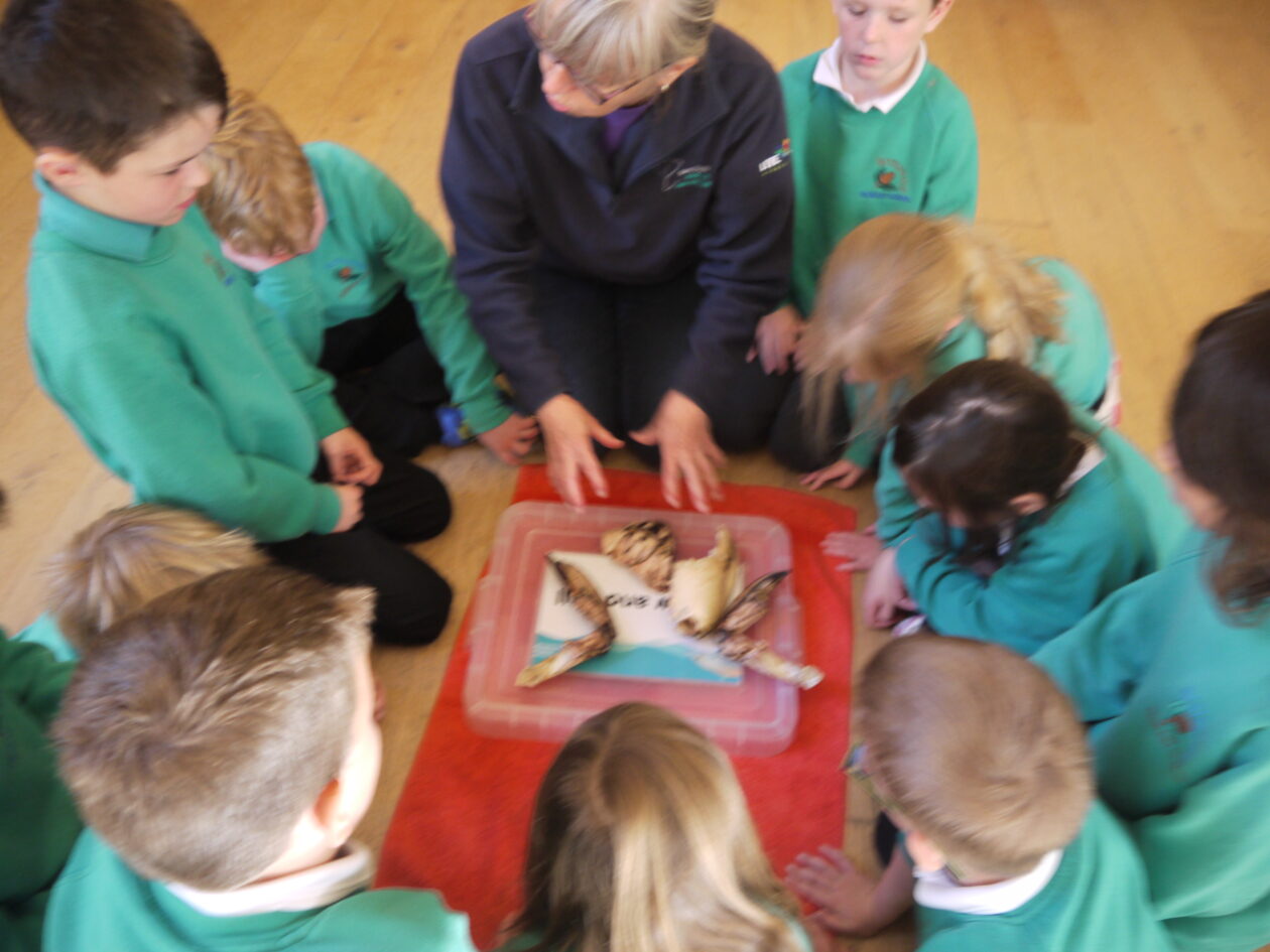 Macduff Marine Aquarium | Botriphnie Primary School
