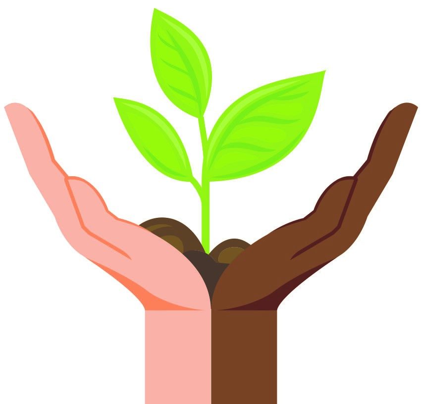 Hopeman Primary School – Together Everyone Achieves More