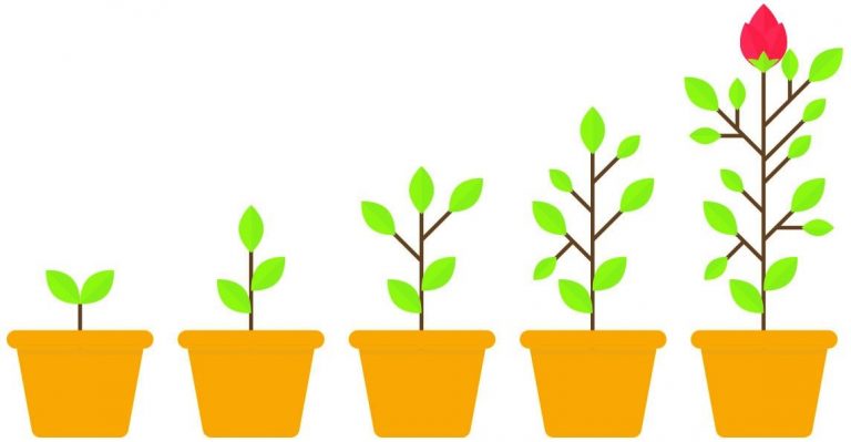 Hopeman Primary School – Together Everyone Achieves More