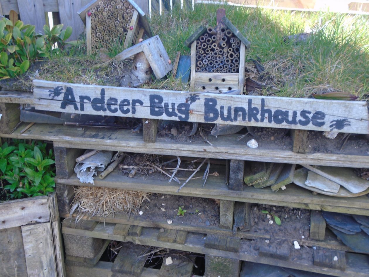 Gallery | Ardeer Primary School