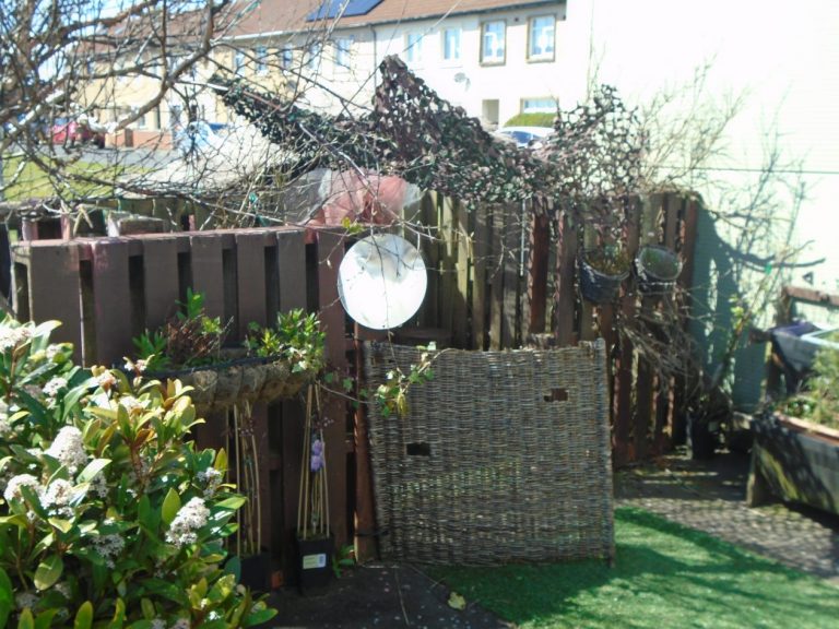 Gallery | Ardeer Primary School