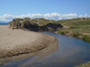 Gallery | Ardeer Primary School