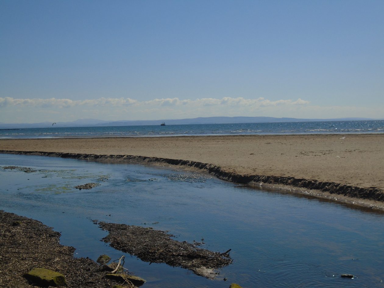 Gallery | Ardeer Primary School