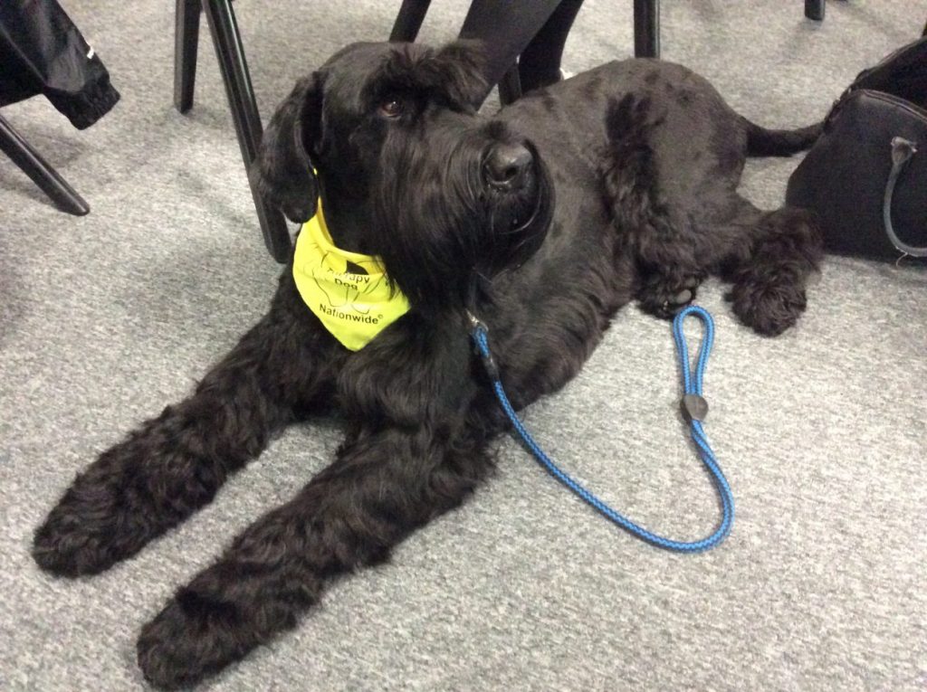 June | 2018 | Largs Academy-Faculty of Pupil Support