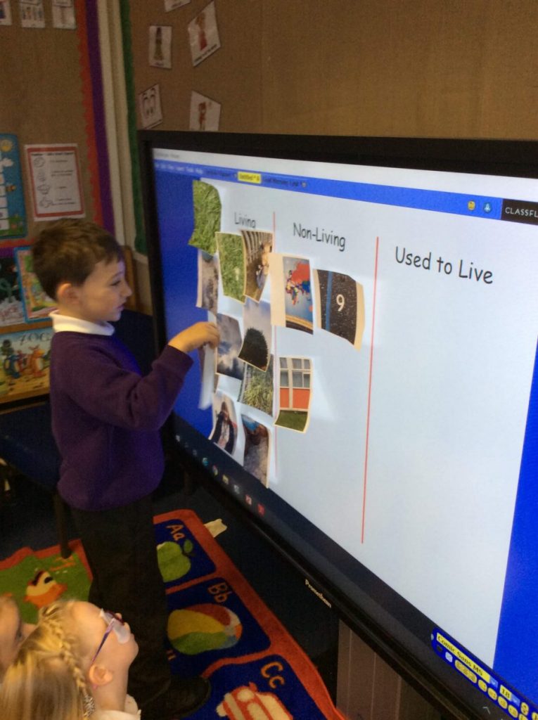 Primary 2 | Loudoun-Montgomery Primary and Early Years