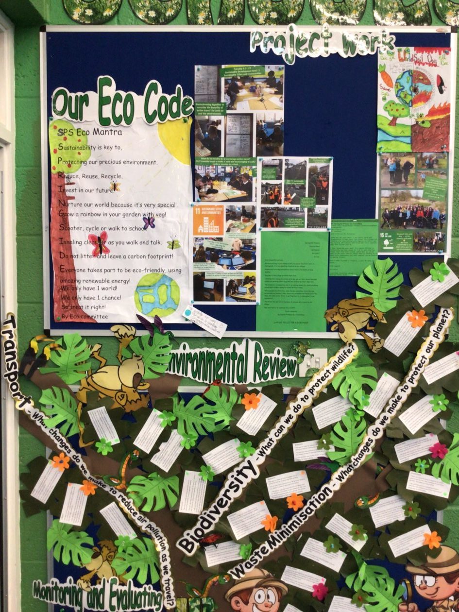 Learning for Sustainability – Springside Primary School