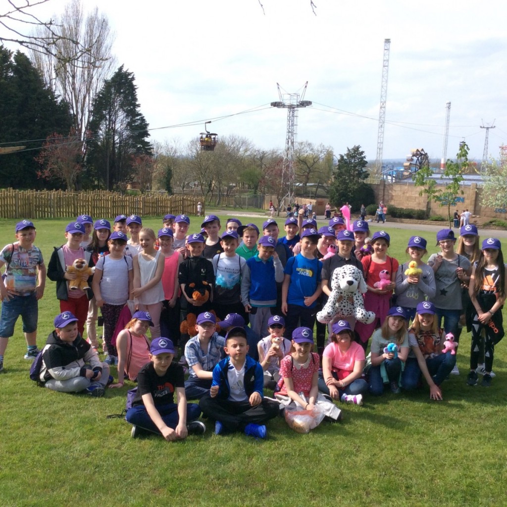 image – Chapelhall Primary School Blog