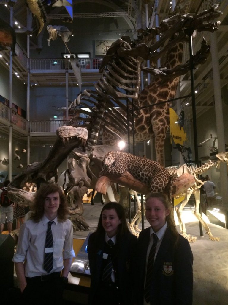 school | Greenfaulds High School