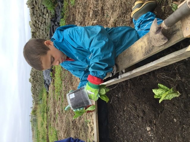 A Papay School 2020 Review – Papa Westray Community School