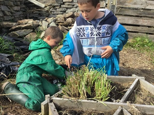 A Papay School 2020 Review – Papa Westray Community School