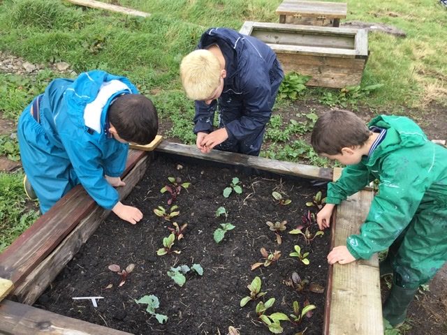 A Papay School 2020 Review – Papa Westray Community School