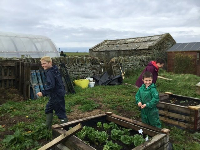 A Papay School 2020 Review – Papa Westray Community School