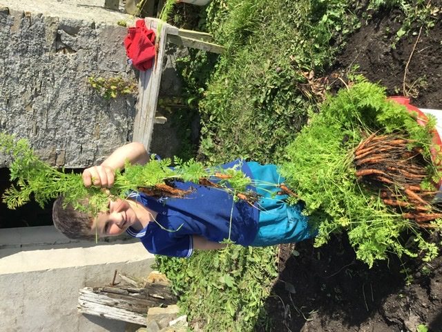 A Papay School 2020 Review – Papa Westray Community School