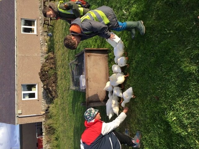 A Papay School 2020 Review – Papa Westray Community School