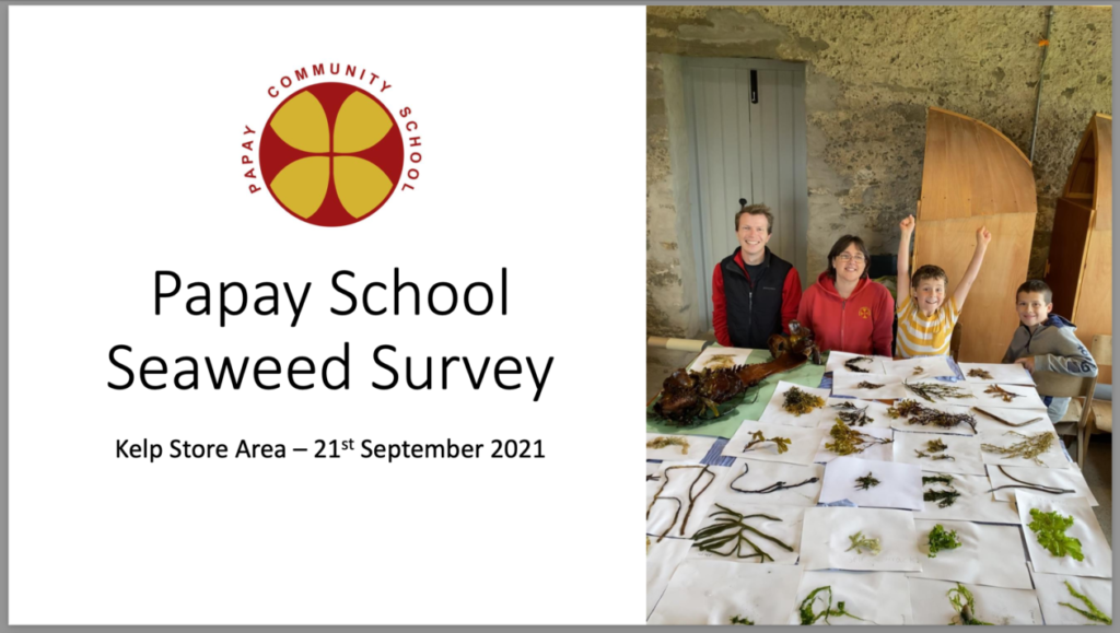 Seaweed Survey Winners – Papa Westray Community School