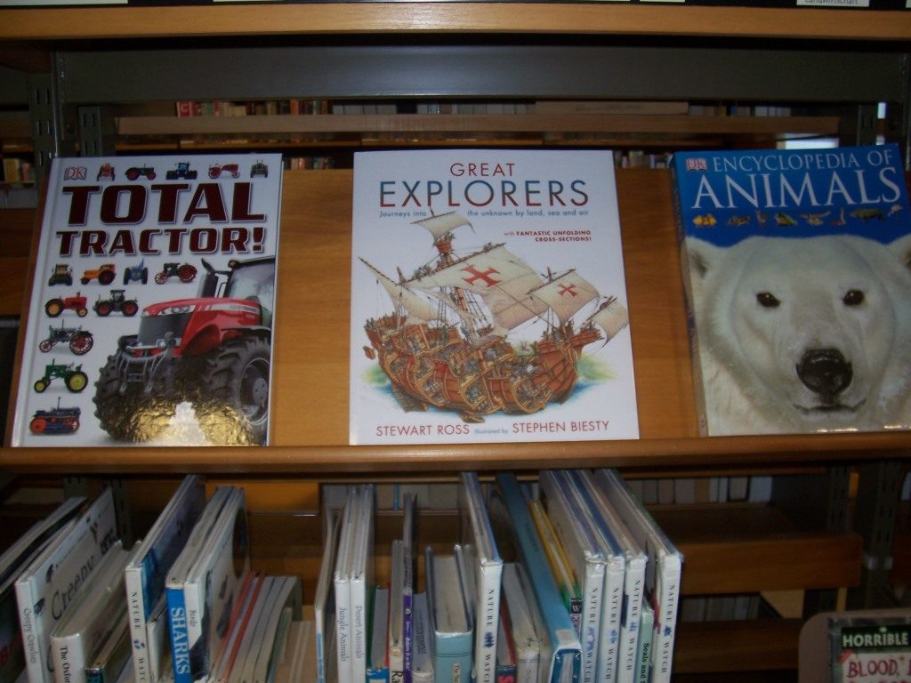 New Term, New Books, Tidy Library