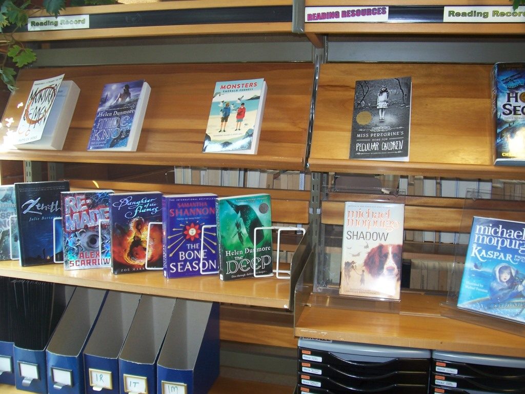 New Term, New Books, Tidy Library