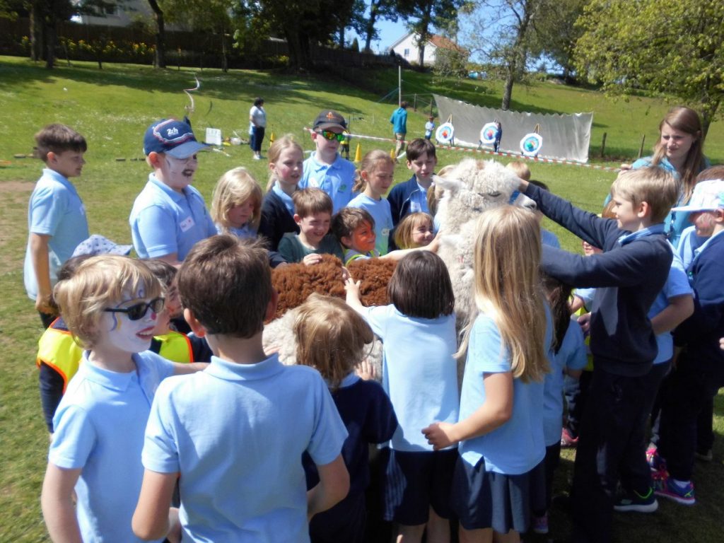 DSCI1055 | Braco Primary School