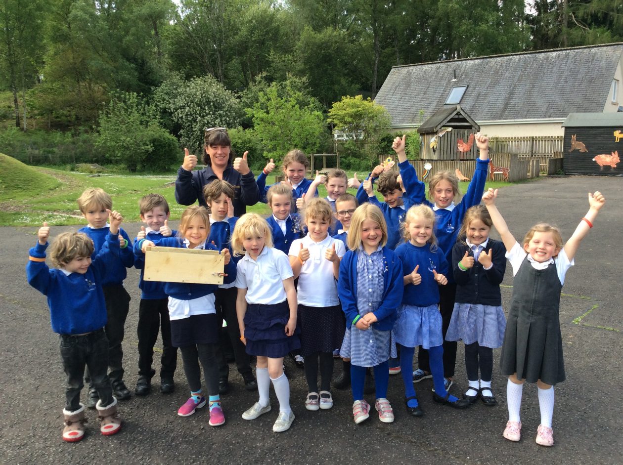 Building on our Learning – Grandtully Primary School